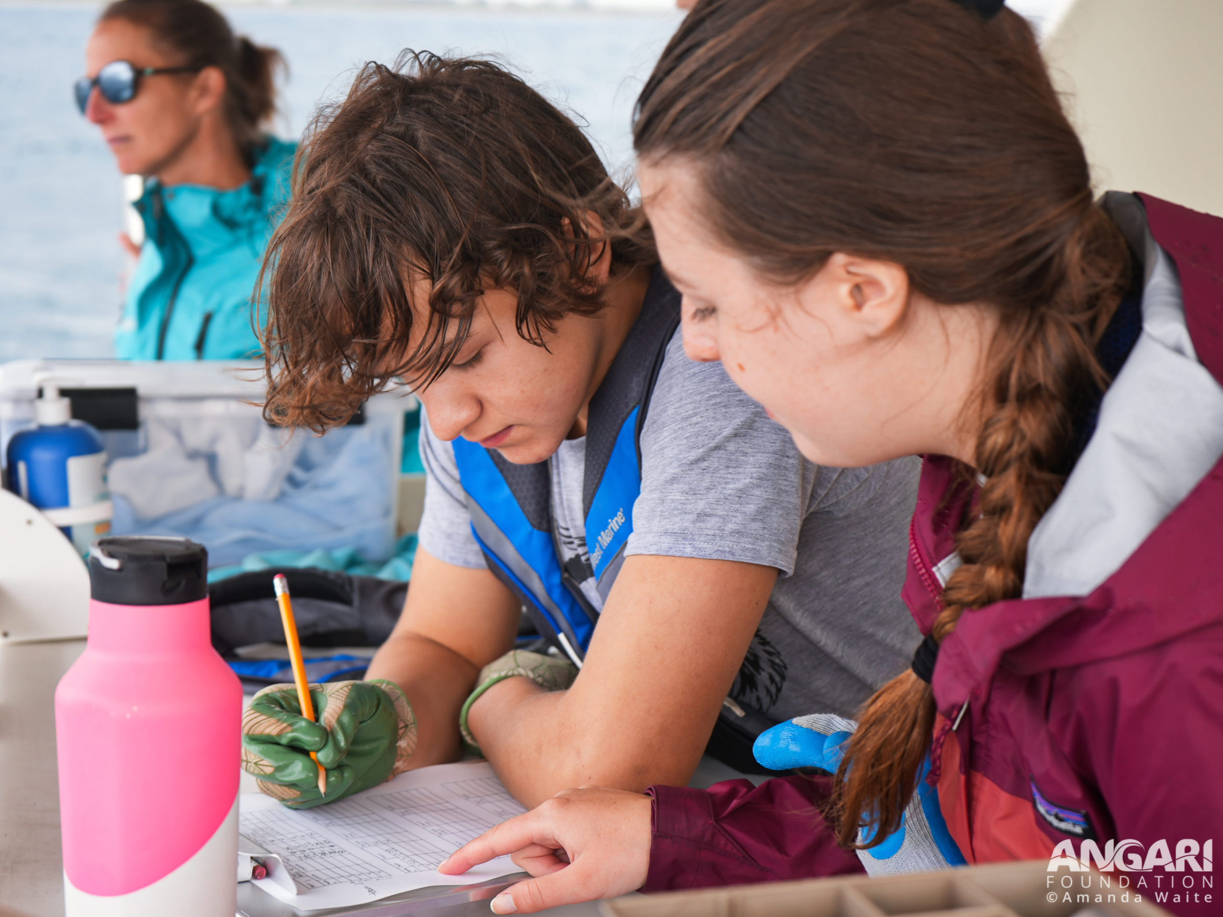 Coastal Ocean Explorers: Sharks - ANGARI Foundation