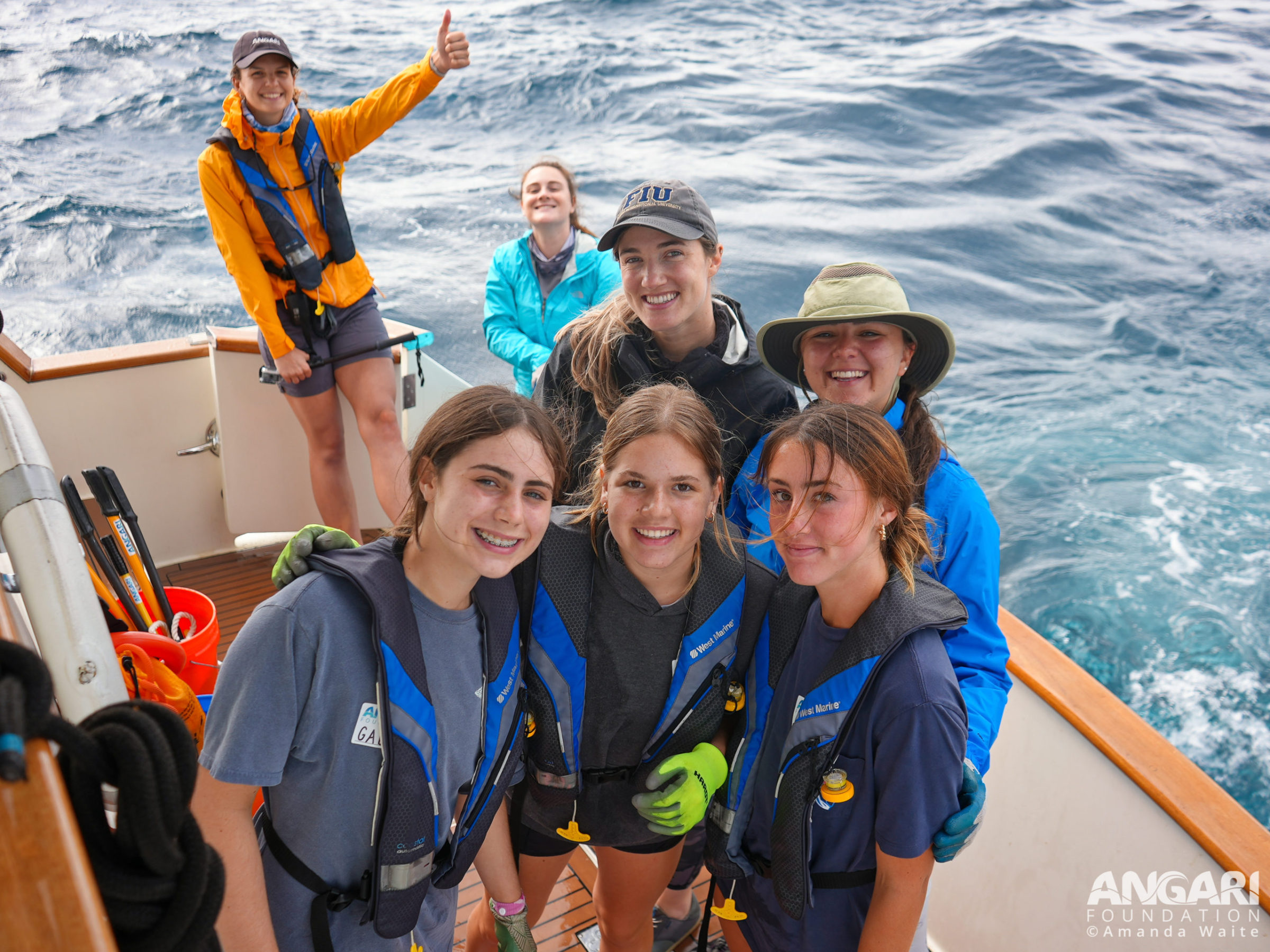 Coastal Ocean Explorers: Sharks - ANGARI Foundation