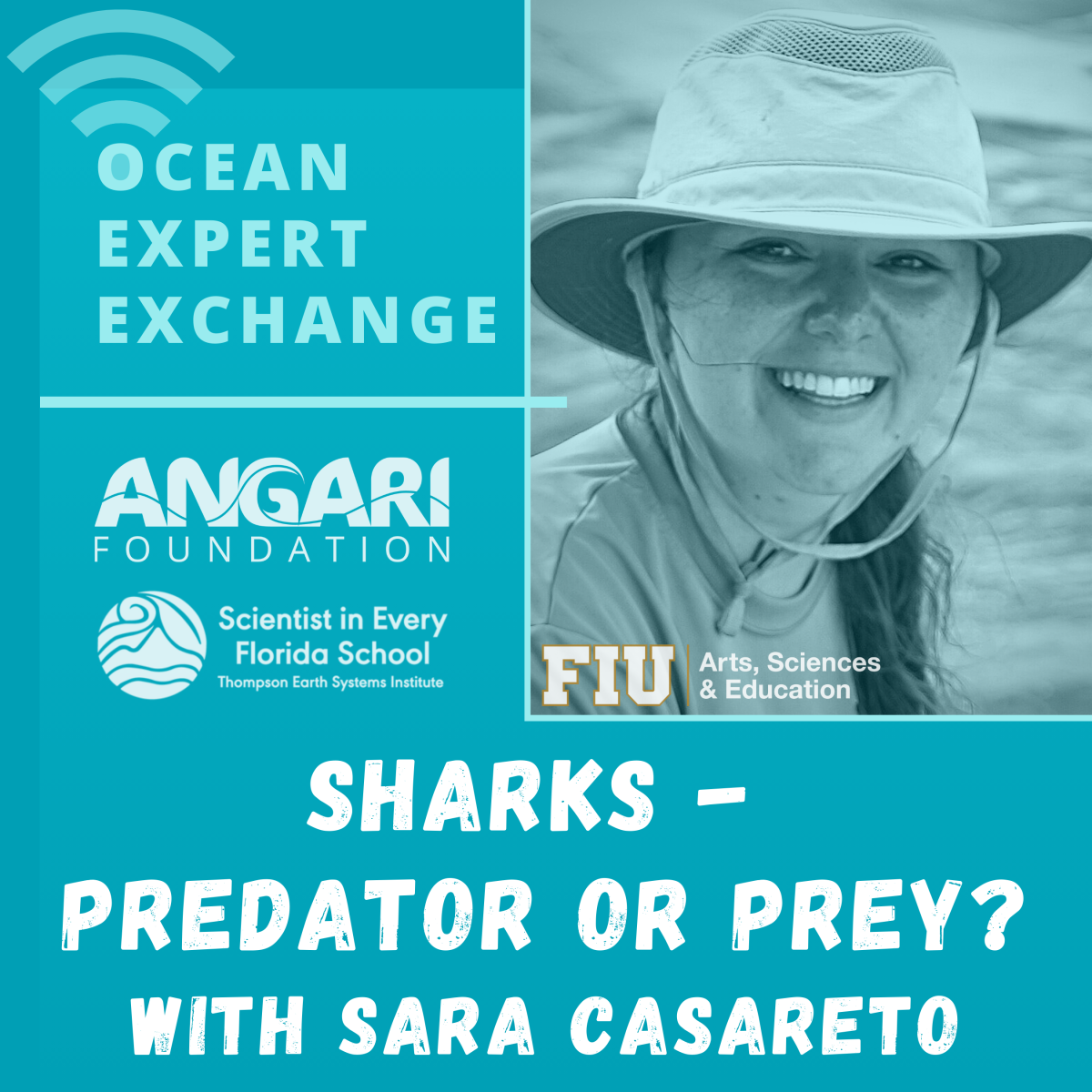 Ocean Expert Exchange: Sharks - Predator or Prey?